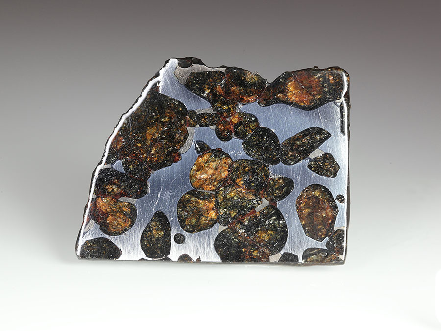 Pallasit - Steineisenmeteorit