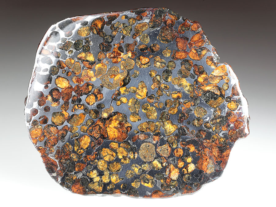 Pallasit - Steineisenmeteorit